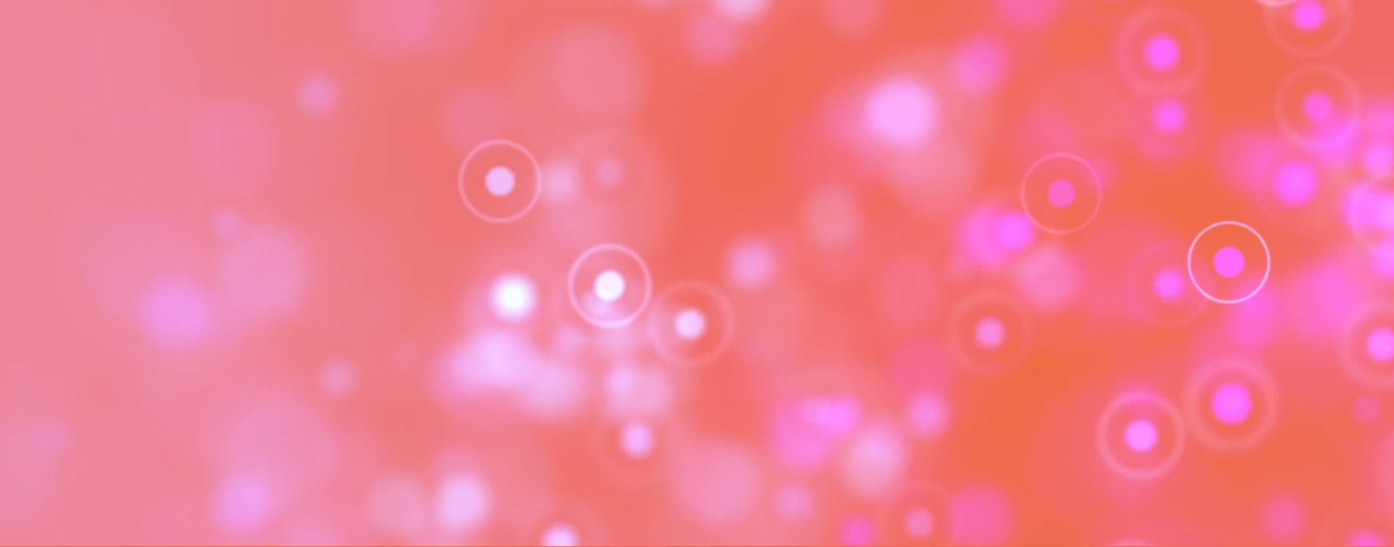 T-NiSQ – Tensor Networks in Simulation of Quantum Metter
